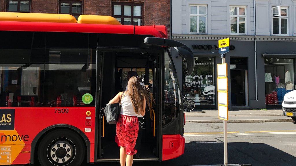 Stižu novi ELEKTRIČNI AUTOBUSI u Beograd! 🚌 | Red Portal