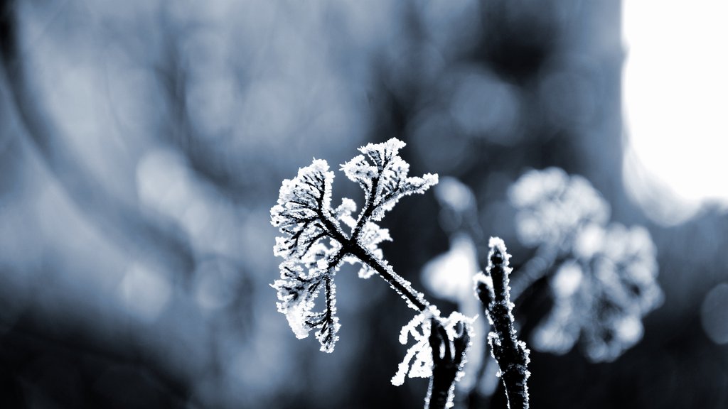 Završeno leto, pao PRVI SNEG! | Red Portal