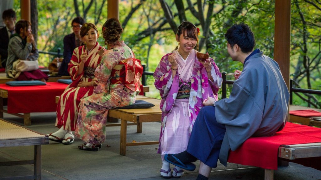 Bogate žene u Edo eri Japana su plaćale sluškinje da bi ih okrivile ...