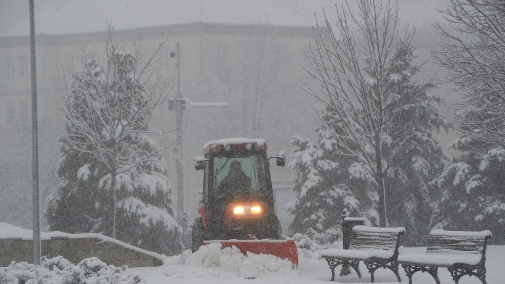 BEOGRAD: Izmenjen režim rada 65 linija | Red Portal