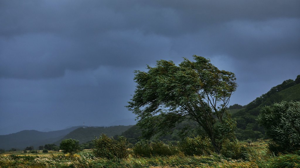 Posledica tajfuna GAEMI: Više od 10 osoba nastradalo na TAJVANU i ...