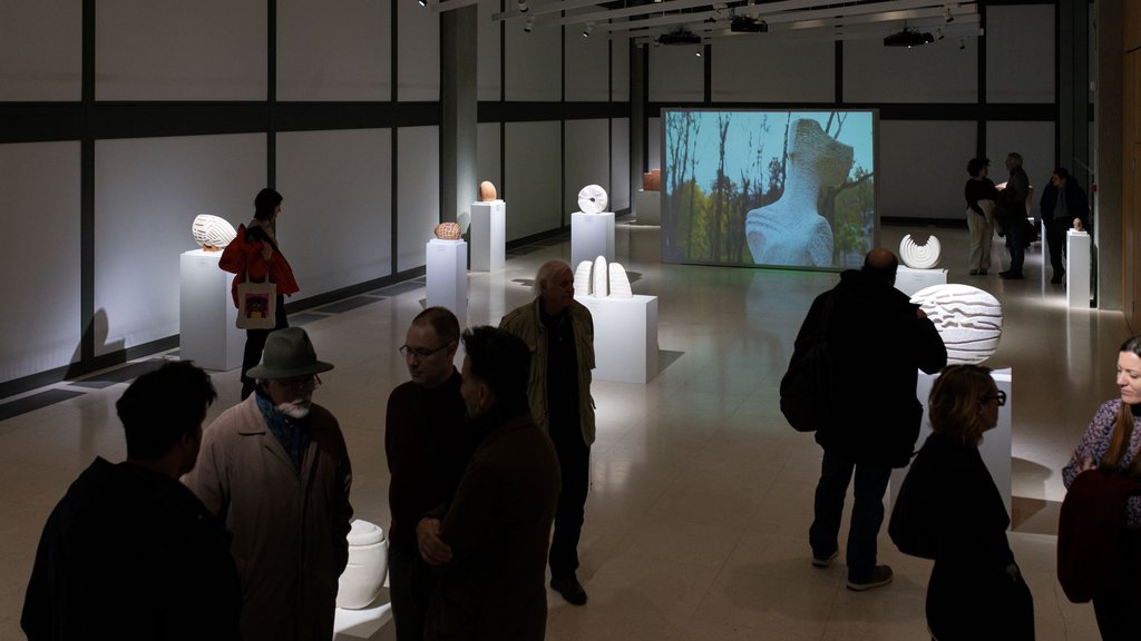 Otvorena izložba TRAG KAO ZAPIS I SIMBOL - ANA VIĐEN u Muzeju savremene umetnosti u Beogradu 🏛️👩 ...